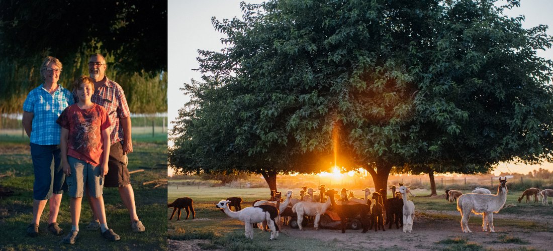 Small is Mighty at Macedo's Mini Acre - Fibershed