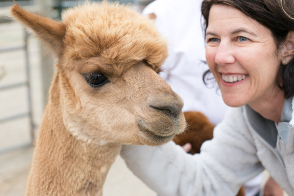 Rockstar Alpacas - Fibershed