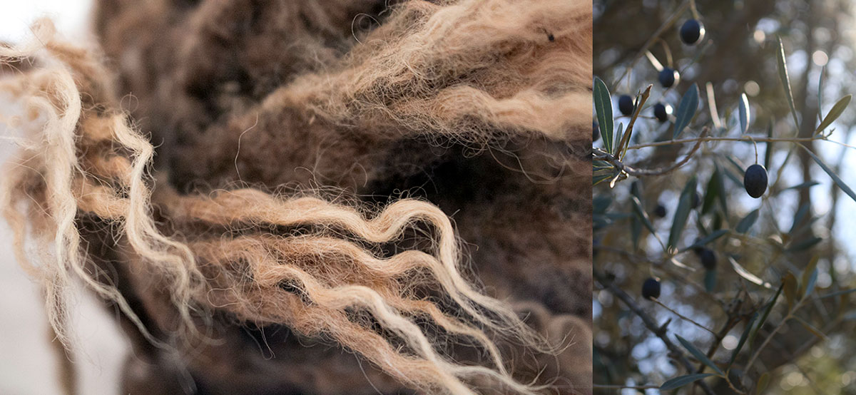 Joshua Farm: Growing Diversity, Growing Family Farming - Fibershed