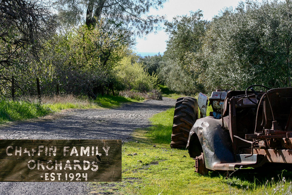 Joshua Farm: Growing Diversity, Growing Family Farming - Fibershed