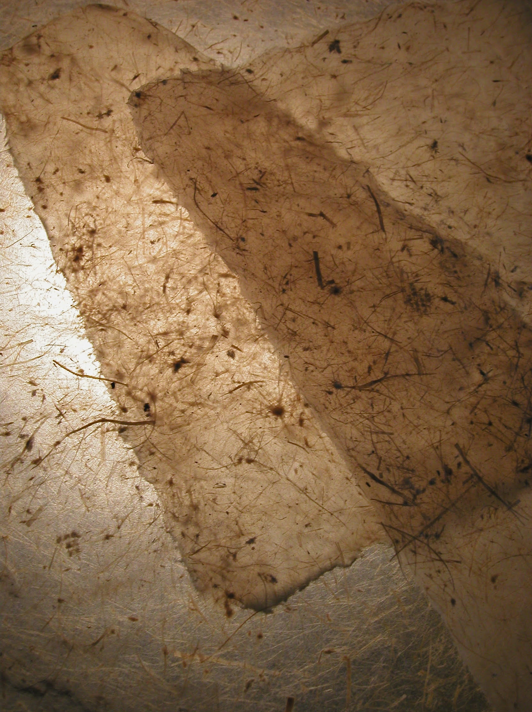 Introduction to Hand Papermaking - Fibershed