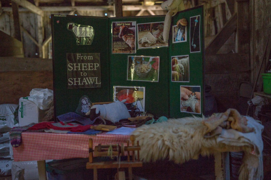 From Sheep to Shawl: Family Fun at UC Elkus Ranch - Fibershed