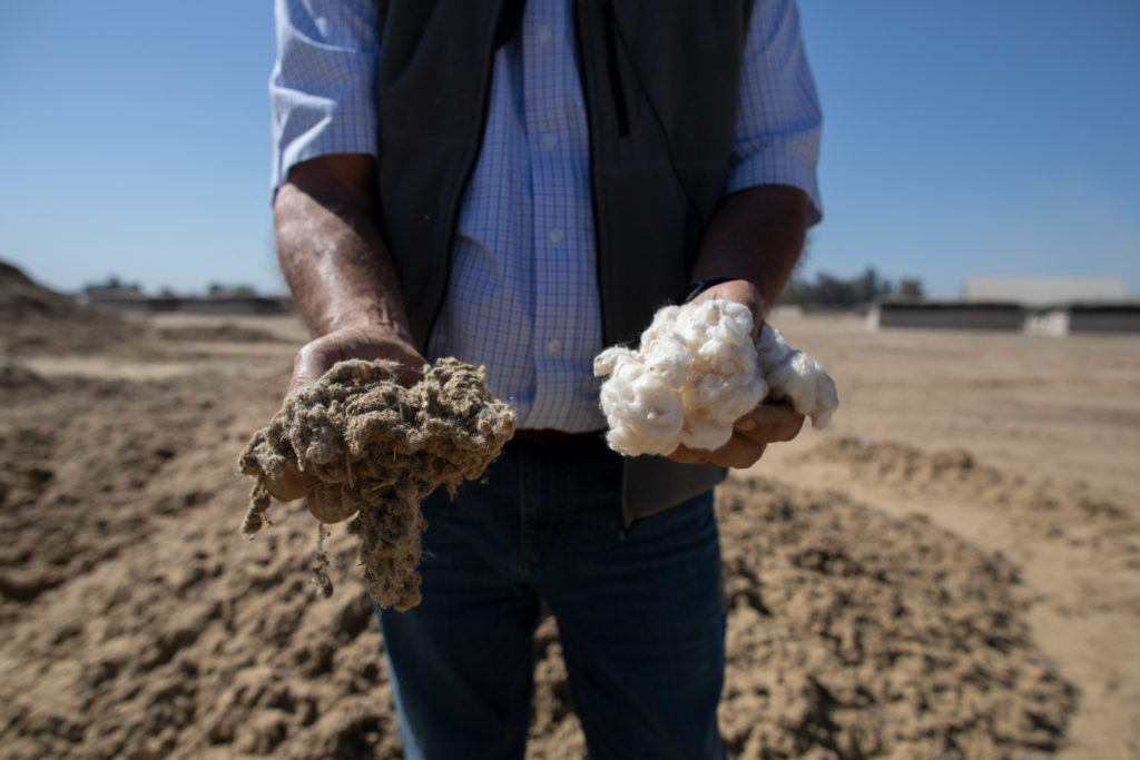California Cotton Fields: a Renewed Opportunity for Rebuilding Soil ...
