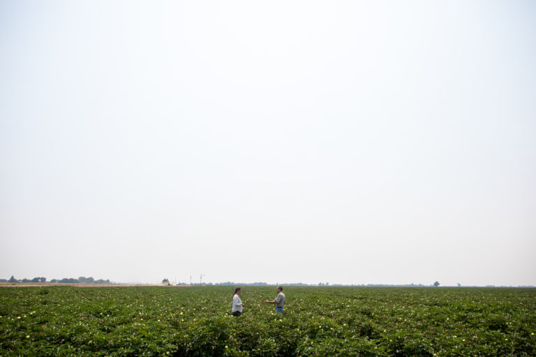 California Cotton Fields: Scaling Carbon Farming Practices with Bowles ...