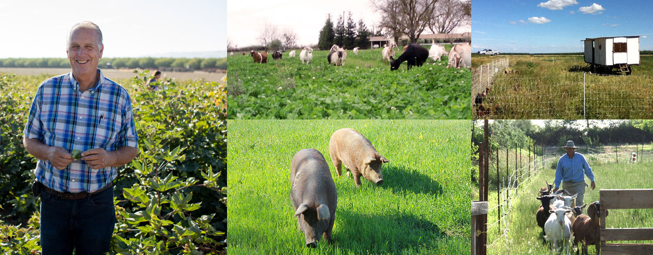 California Cotton Fields: Building Biodiversity with John Teixeira ...