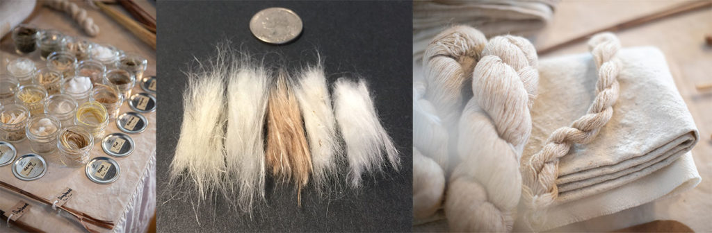 Native Plants for Textiles: 3 Bast Fibers to Know Beyond Hemp and Flax ...