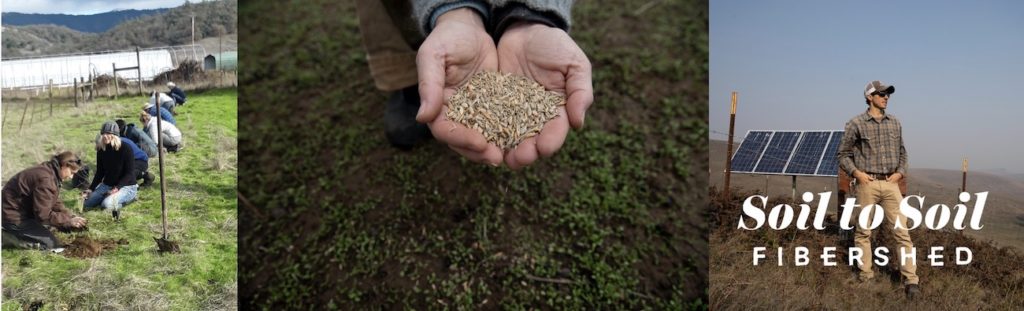 5 Ways You Can Strengthen Our Fibershed While Sheltering in Place ...