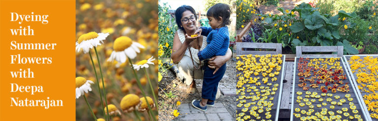 Dyeing with Summer Flowers with Deepa Natarajan - Fibershed