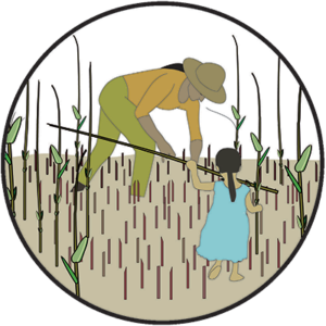 Fiber Visions: Dogbane - Fibershed