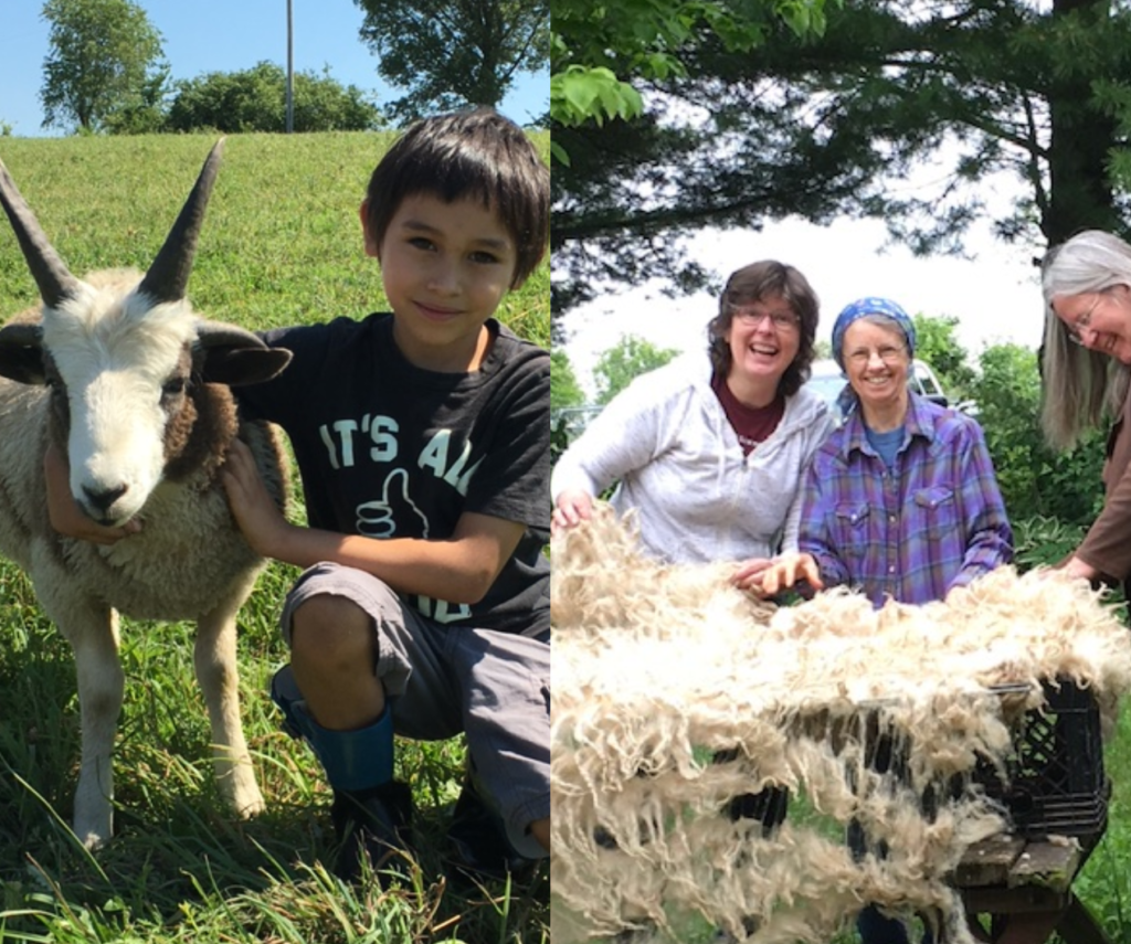 Fibershed Heartland - Fibershed