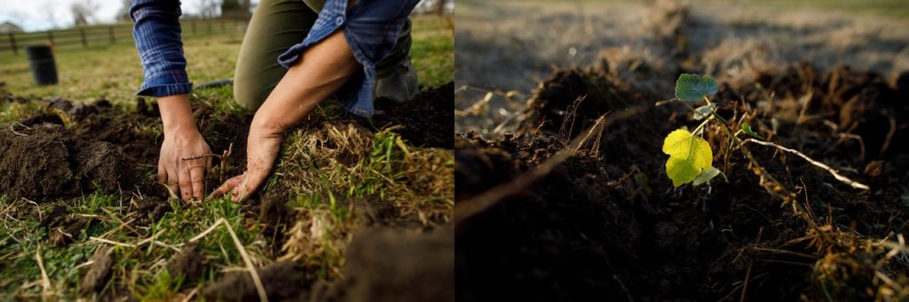 Carbon Farming and Co-Benefits at PT Ranch - Fibershed