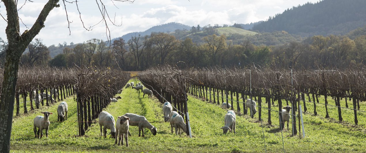 Climate Beneficial™ Agriculture - Fibershed