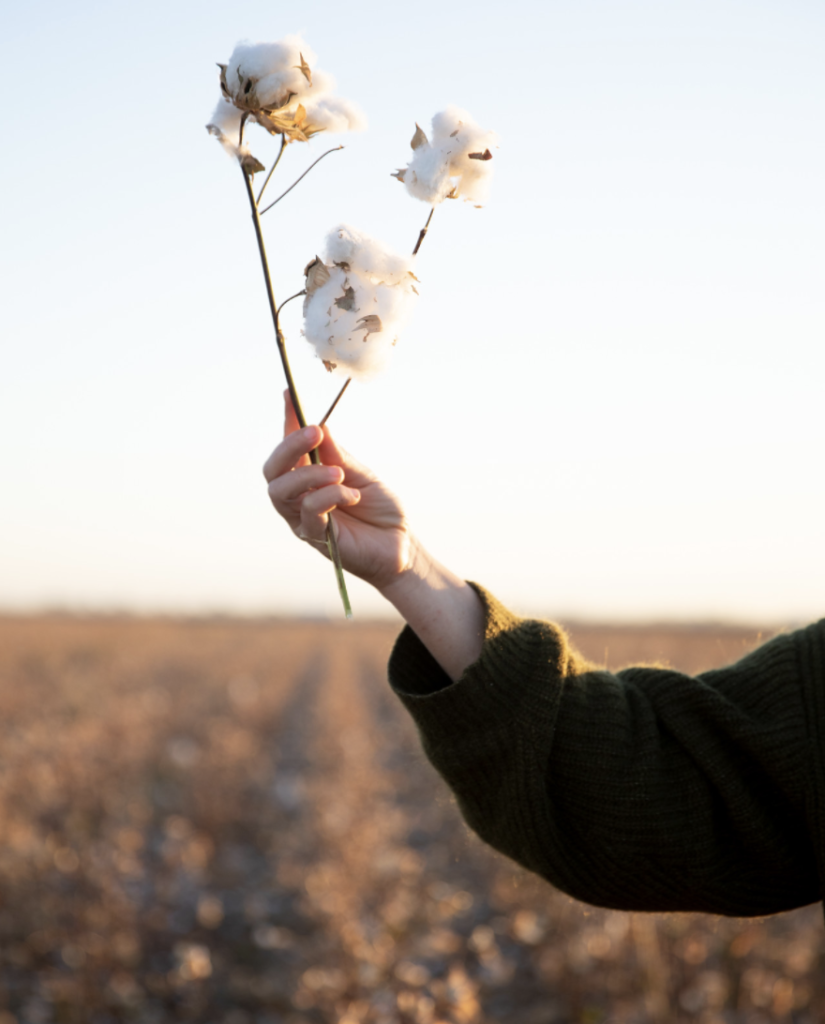 A Toolkit for Fibersheds & Brands. Part 1: Fibershed Stories - Fibershed