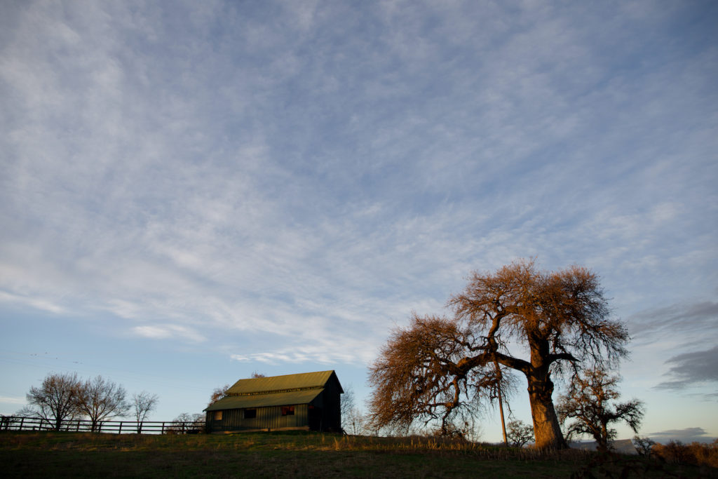 Fighting Climate Change through Carbon Farming - Fibershed