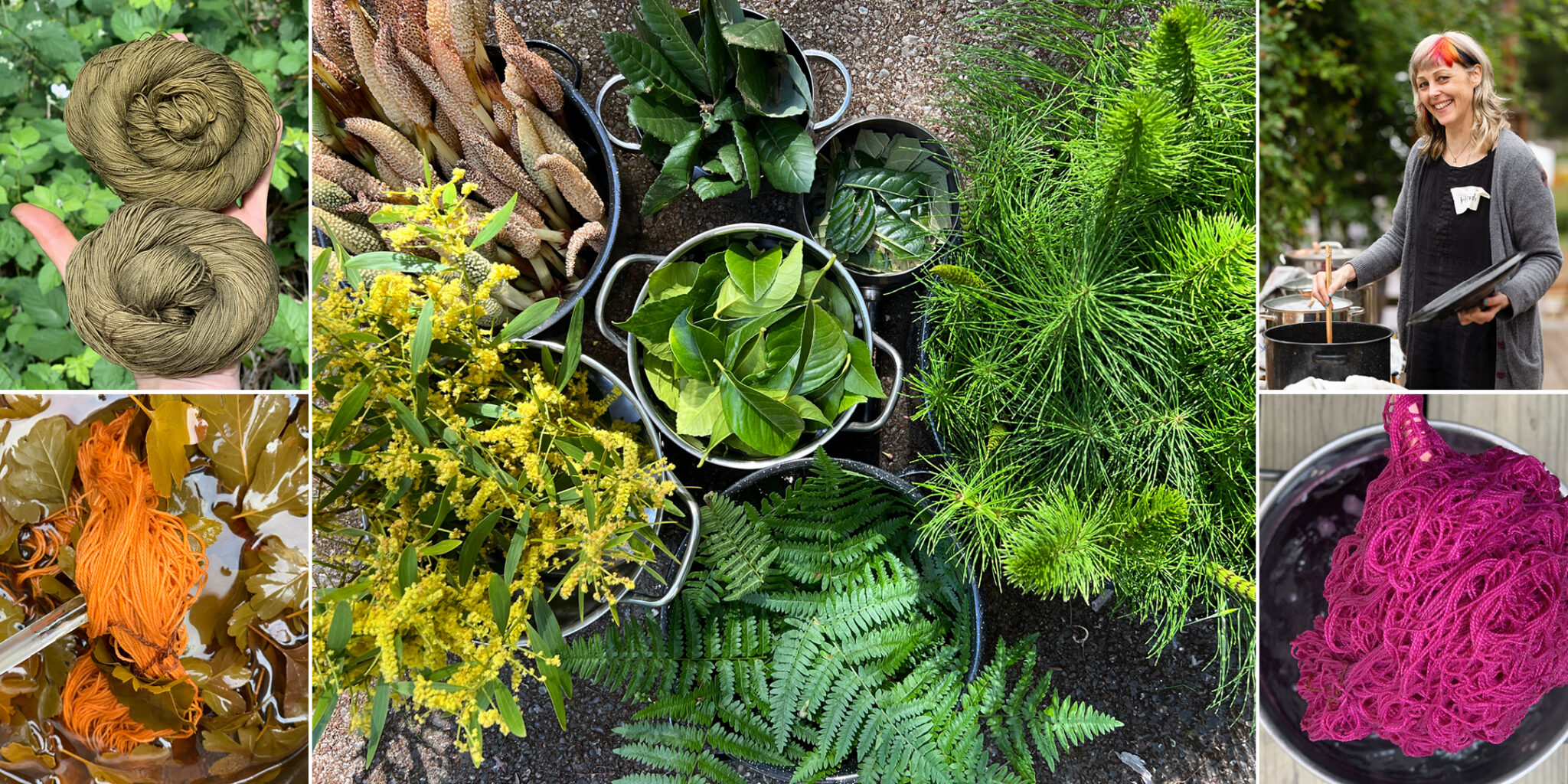 Natural Dyes with Heidi Iverson & Allison Reilly - Fibershed