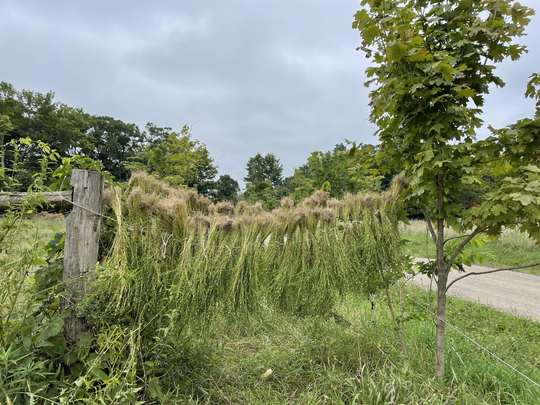 Michigan Fibershed - Fibershed