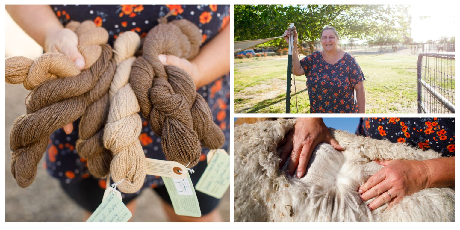 Fibershed Summer Farmer’s Market Producers - Fibershed