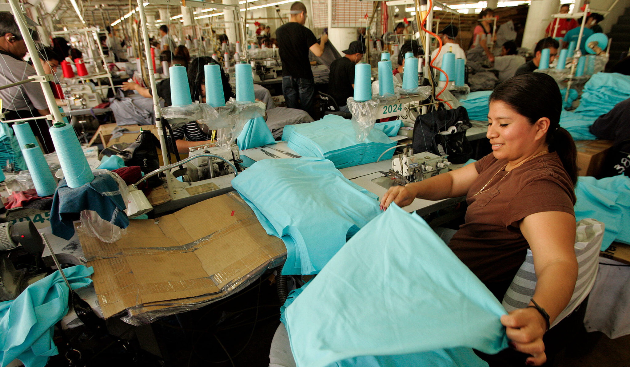 Native Plants for Textiles: 3 Bast Fibers to Know Beyond Hemp and Flax ...