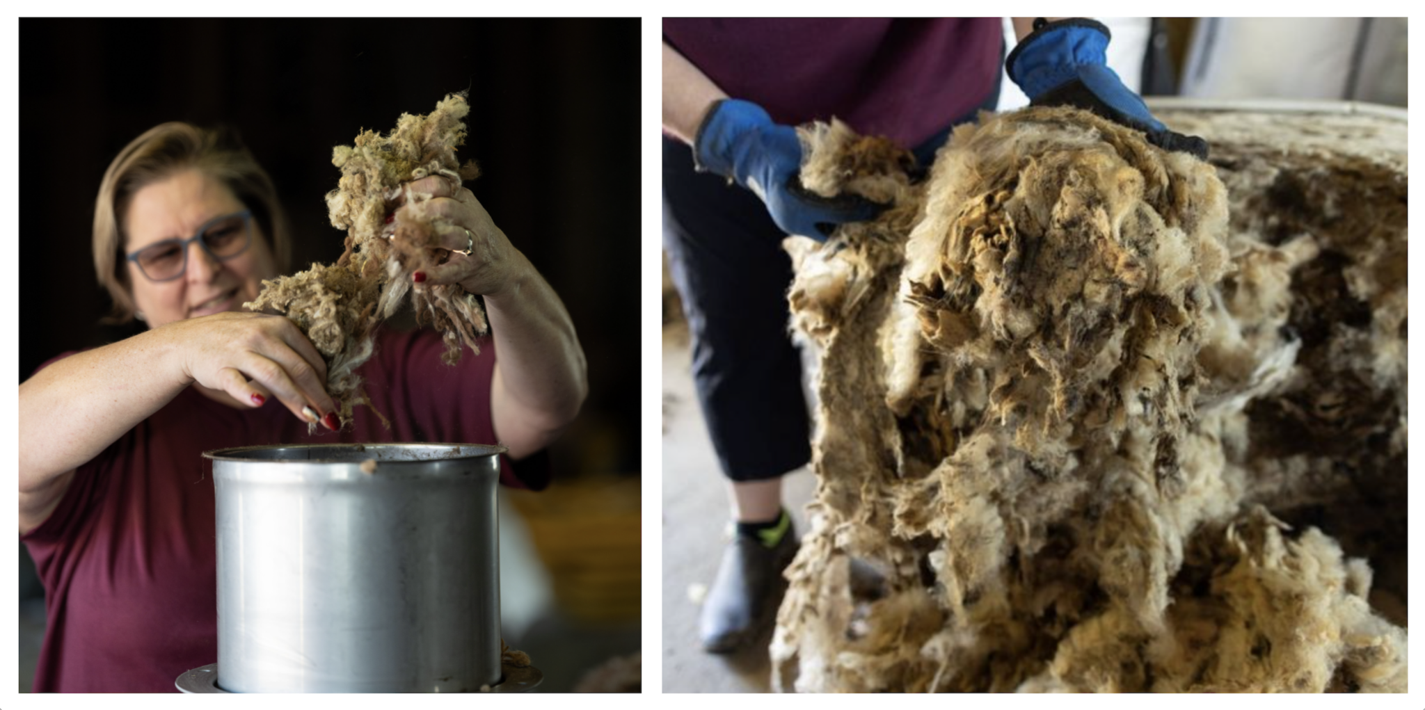 Waste Not: Wool Pellets Make Great Soil – and Business - Fibershed