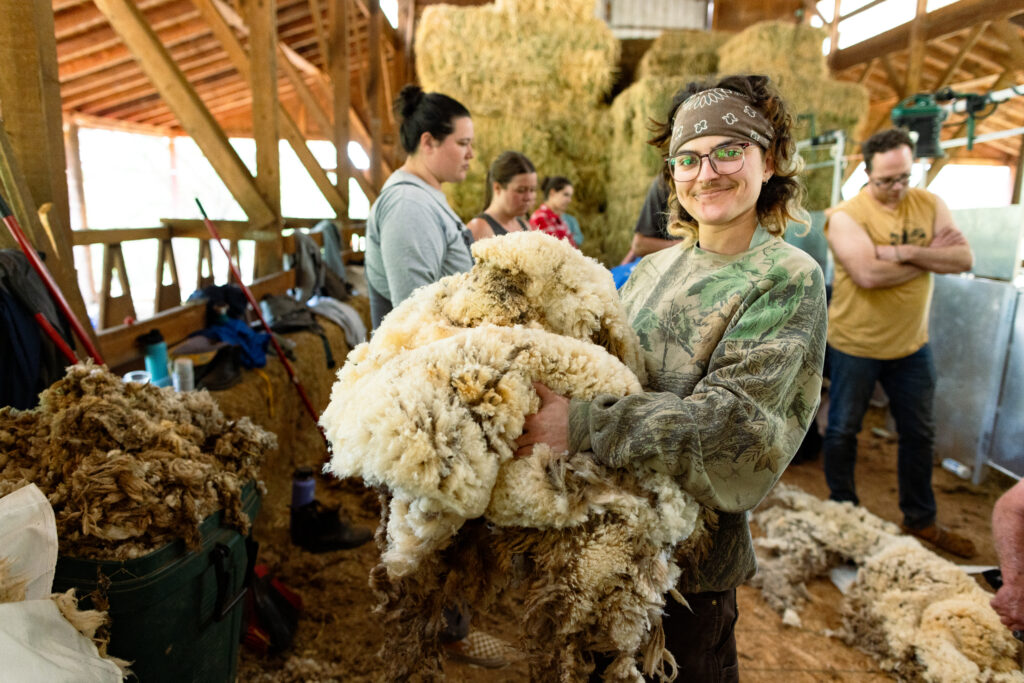 Fibershed Shearing Schools - Fibershed