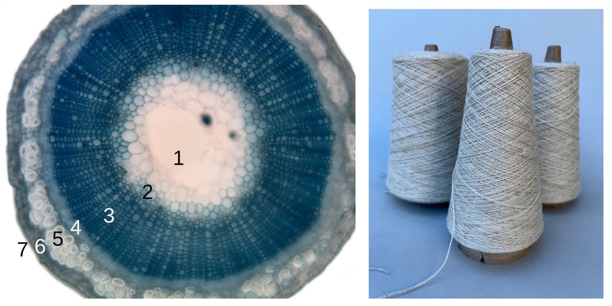 Weaving Cloth and Culture from Flax