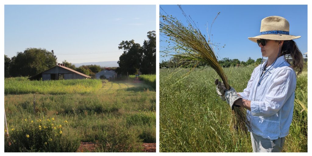 Weaving Cloth and Culture from Flax