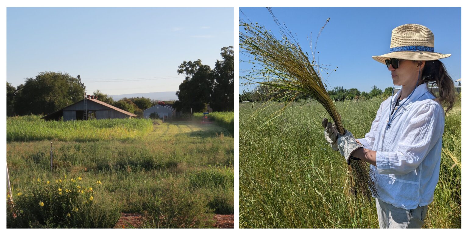 Weaving Cloth and Culture from Flax