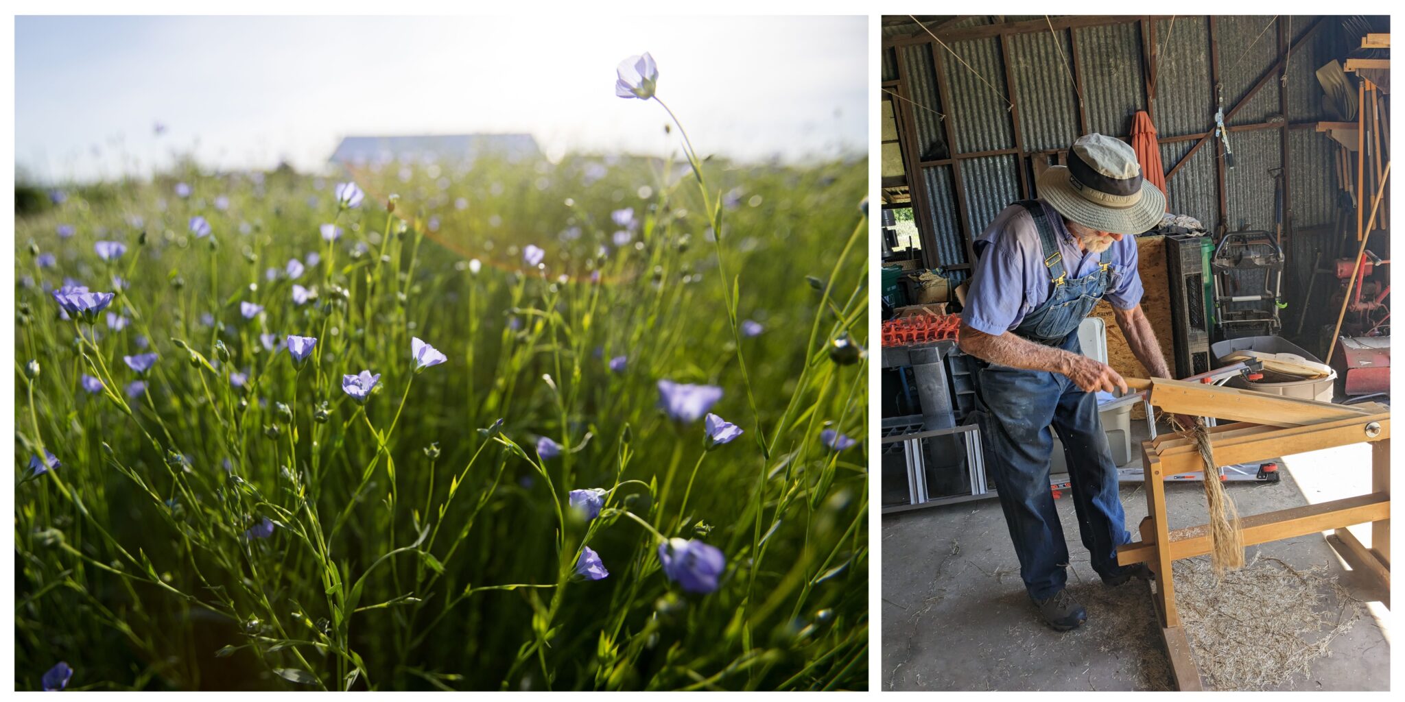 Weaving Cloth and Culture from Flax