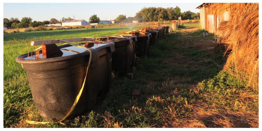 Weaving Cloth and Culture from Flax