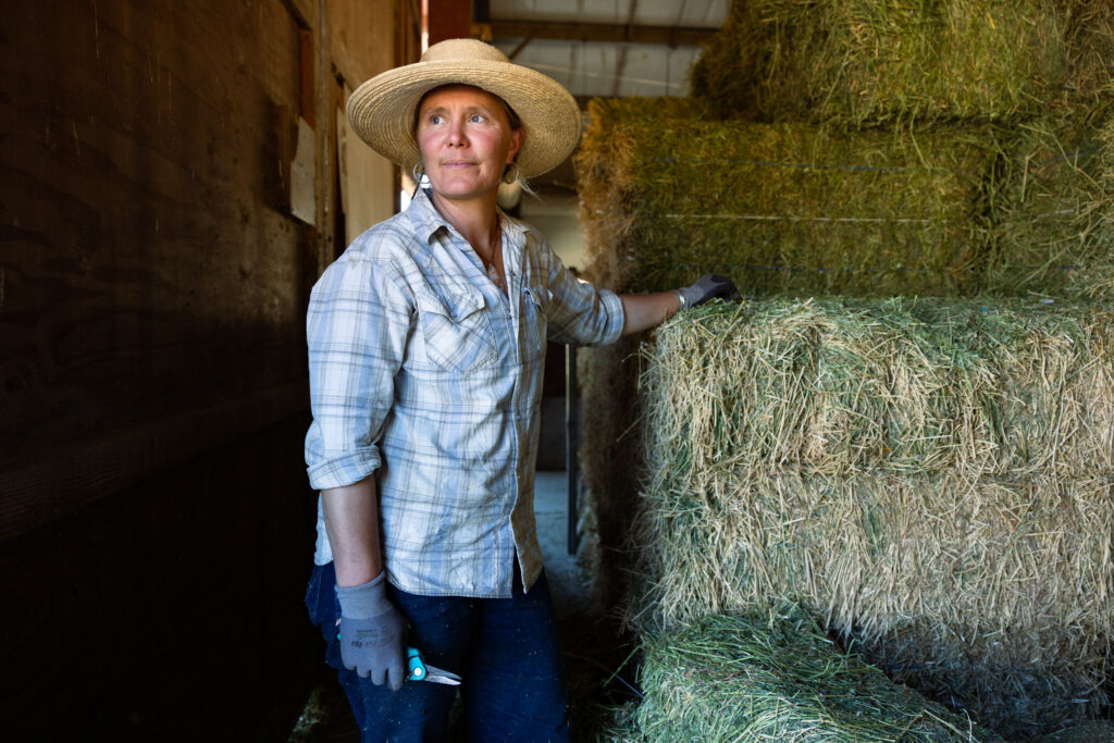 Building Soil Health at Pennyroyal Farm and Navarro Vineyards - Fibershed