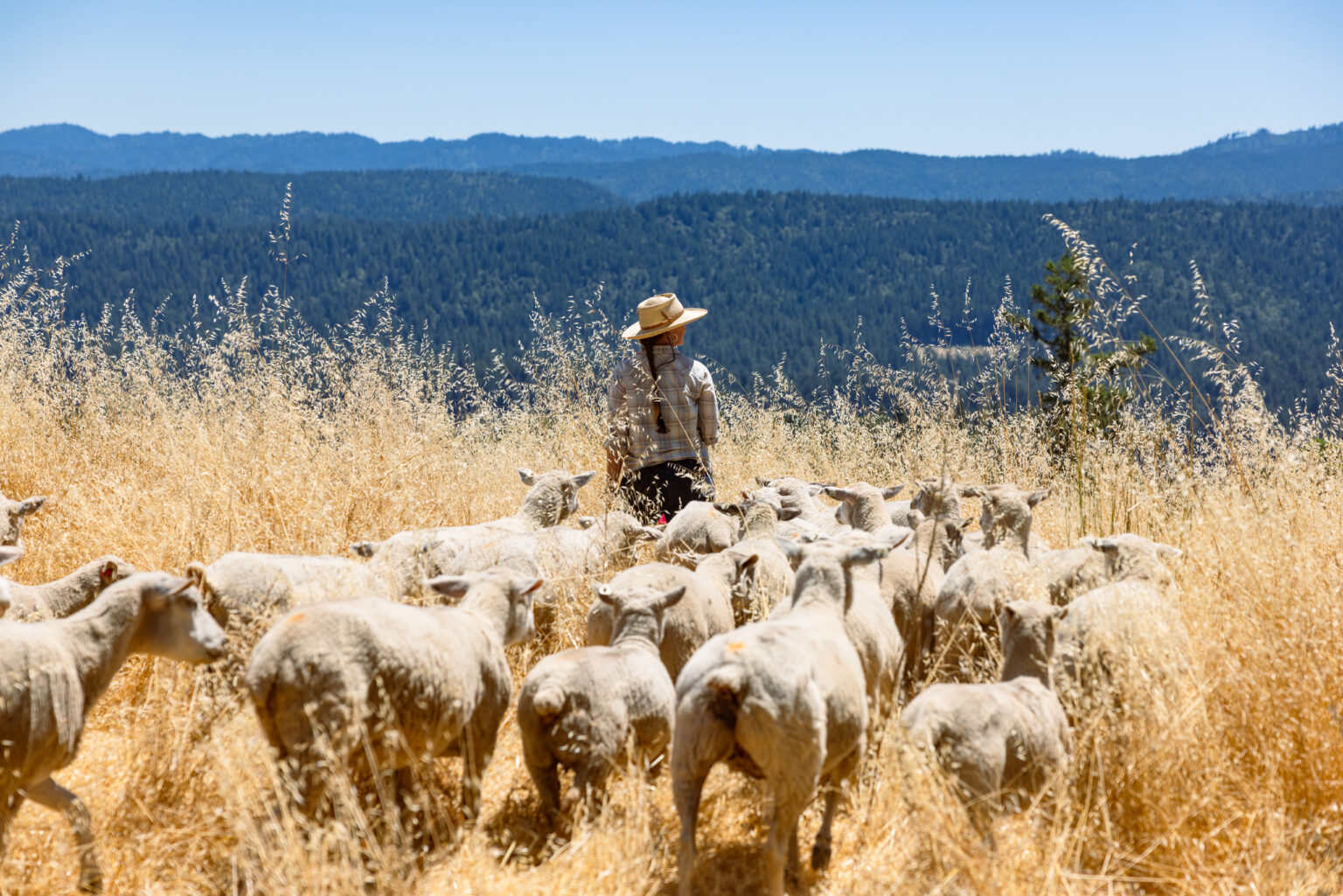 Mission & Vision - Fibershed