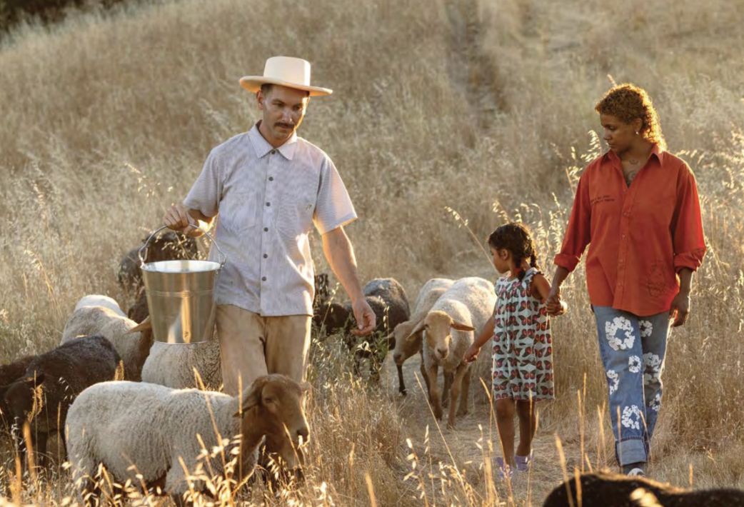 Building a Healthier Fiber Future: Highlights from Fibershed’s 2024 ...