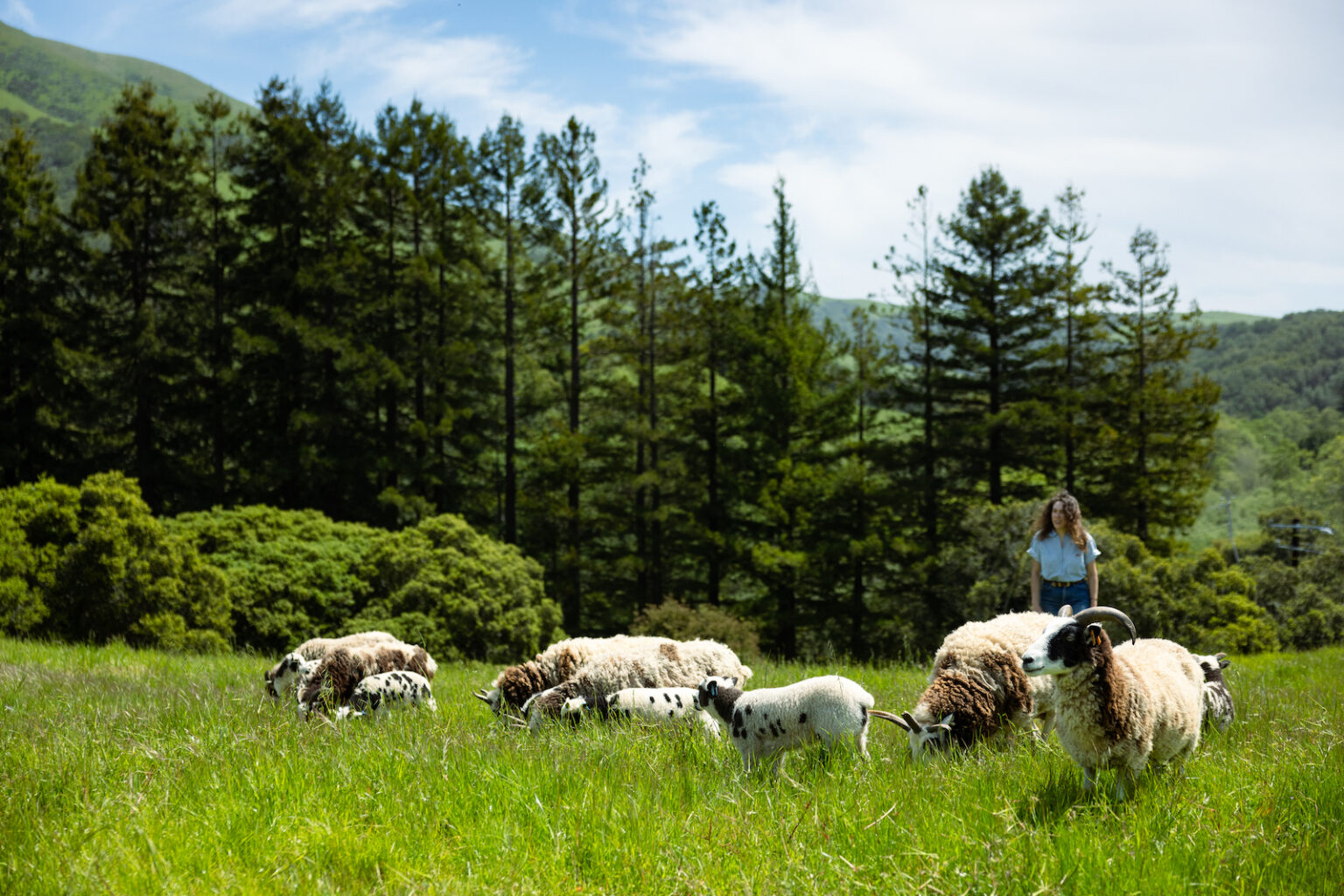 Native Plants for Textiles: 3 Bast Fibers to Know Beyond Hemp and Flax ...