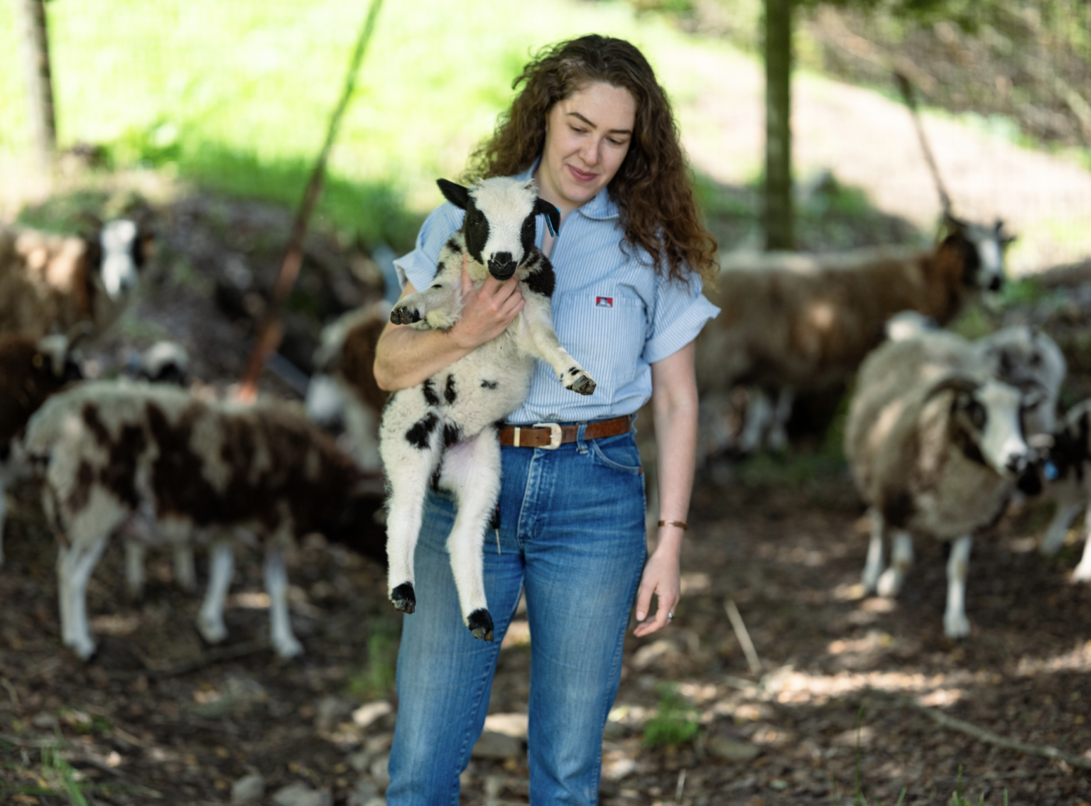 From Fleece to Fabric: Allison Reilly’s Personal Journey with Local ...