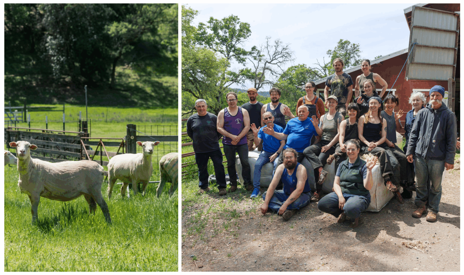 The Natural Dye Handbook by Heidi Iverson - Fibershed
