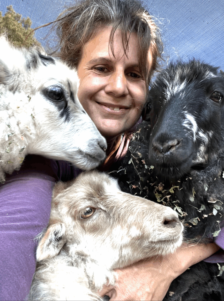Lost Emu Farms - Fibershed