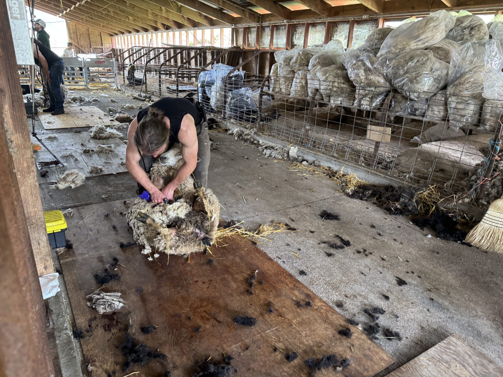 U.S. Government Releases Landmark Report on Textile Waste and Fast ...